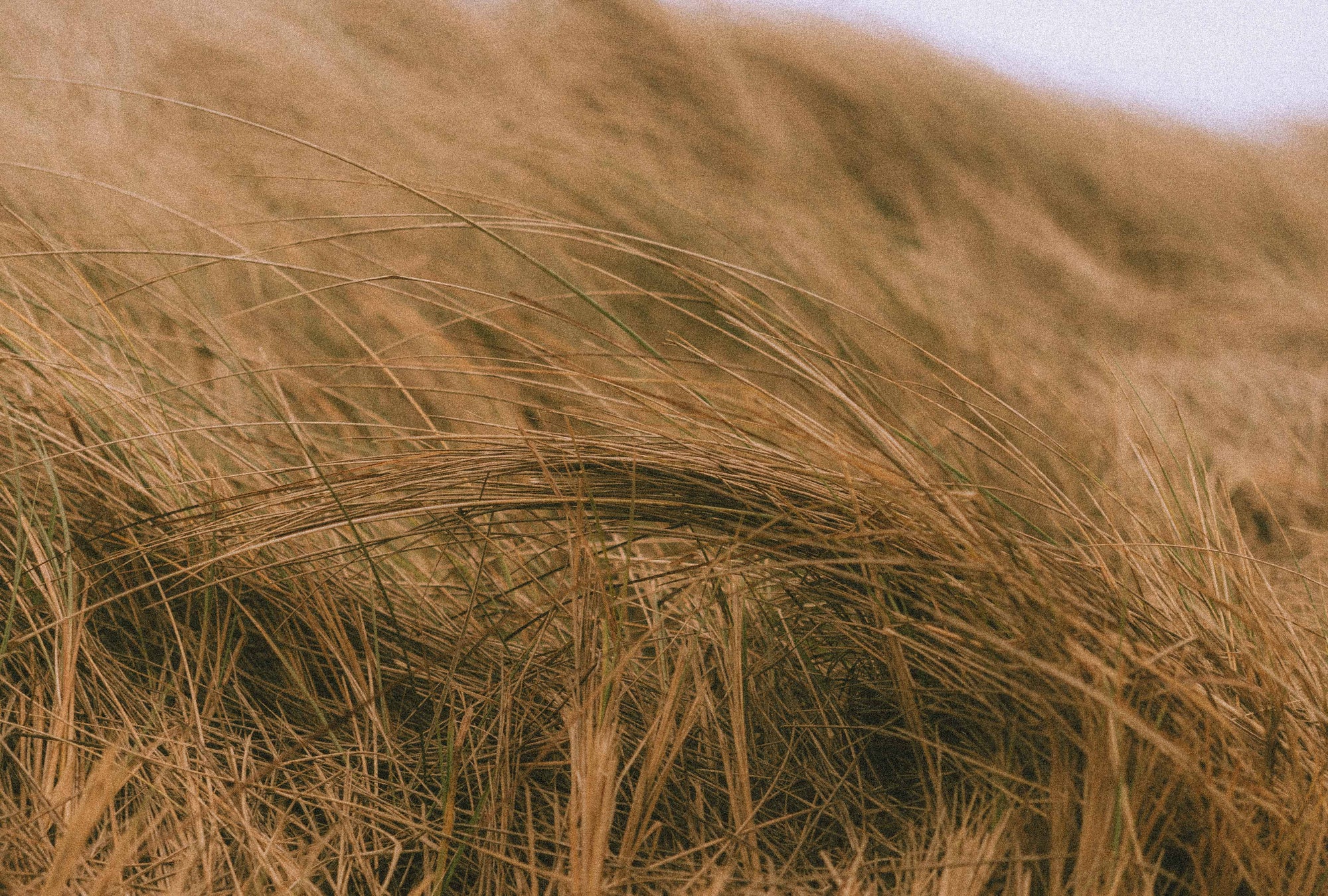 Original Irish Art - Cora Murphy Irish Landscape Artist – Cora Murphy ...